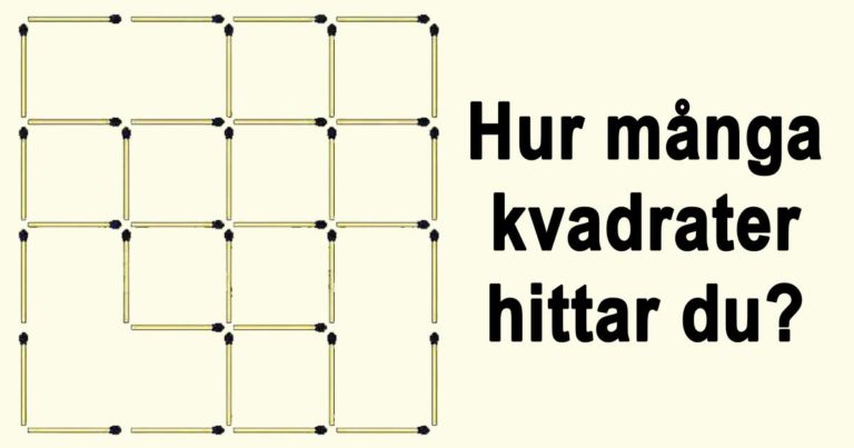 Hjärngympa: Väldigt få svenskar kan hitta alla kvadrater i bilden ...