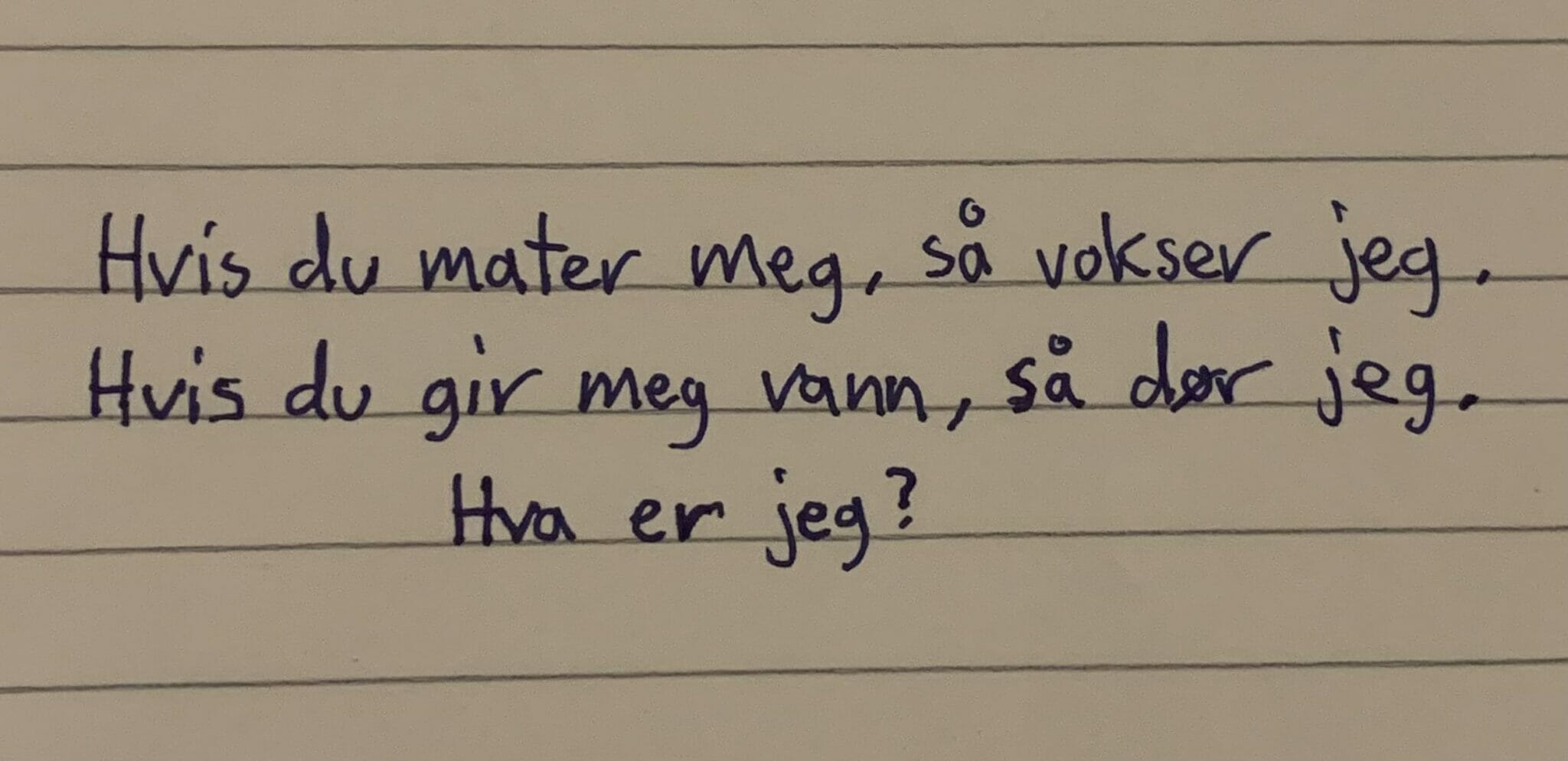 Hjernetrim: Finn ut svaret på gåten som få klarer